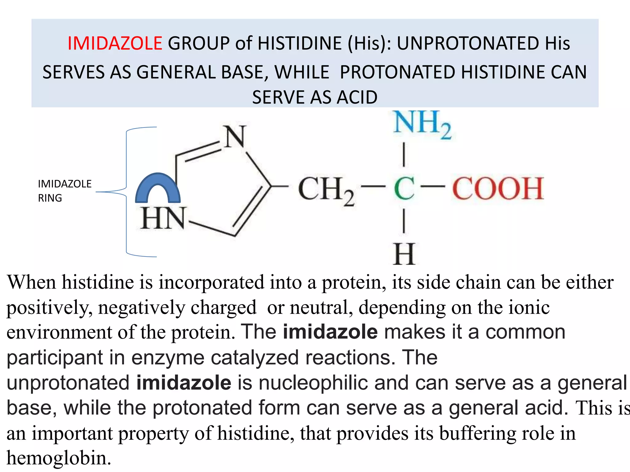 1 Main minerals. Amino acids. Proteins folding 2021 | PPTX