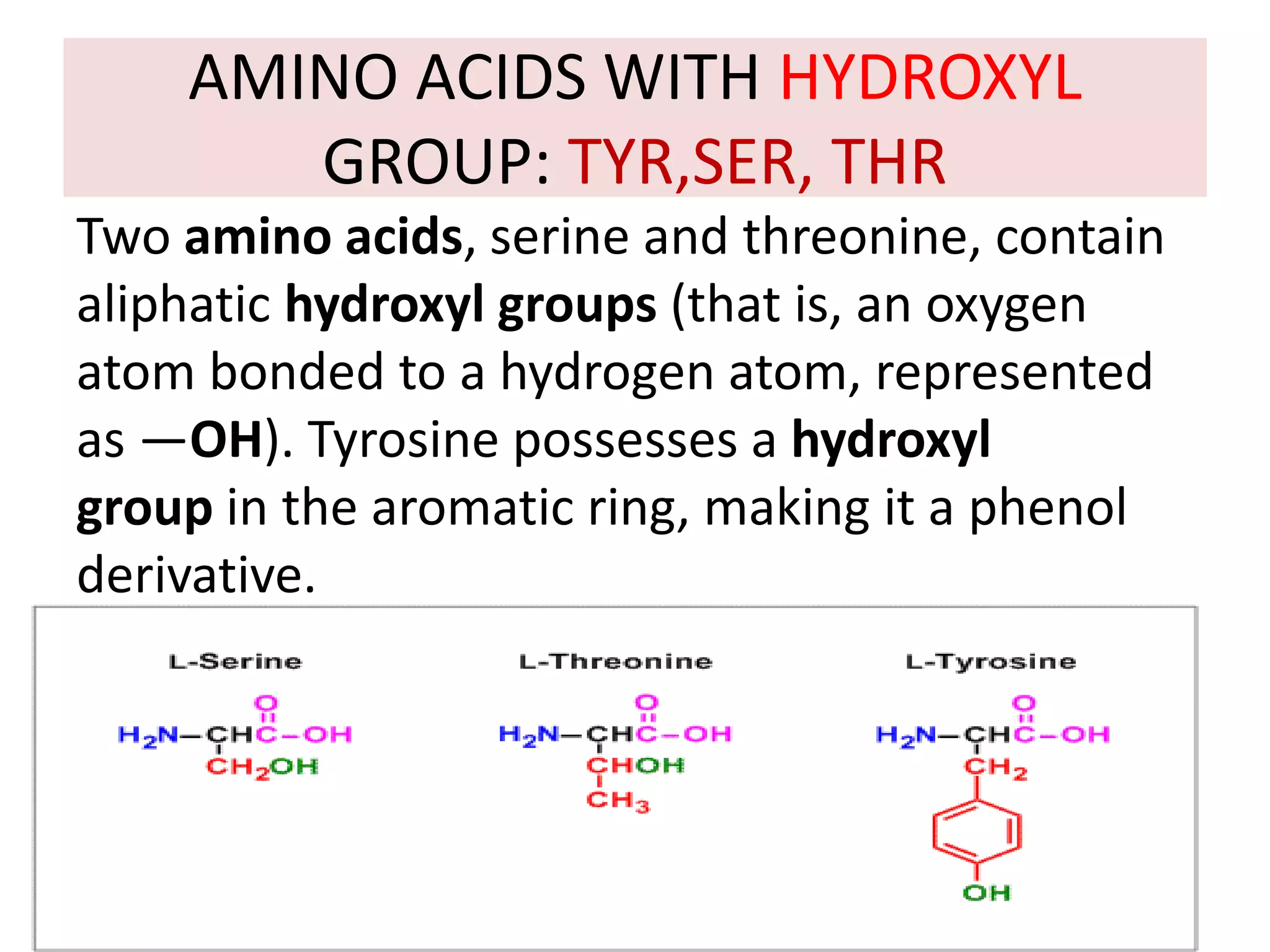1 Main minerals. Amino acids. Proteins folding 2021 | PPTX