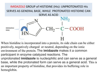 1 Main minerals. Amino acids. Proteins folding 2021 | PPTX