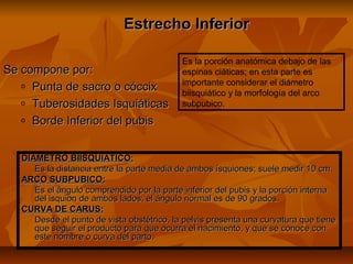 # 1 anatomia de la pelvis | PPT