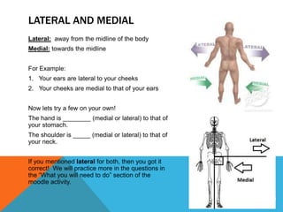 1 anatomical positions | PPTX | Death, Injury, or Military Conflict ...