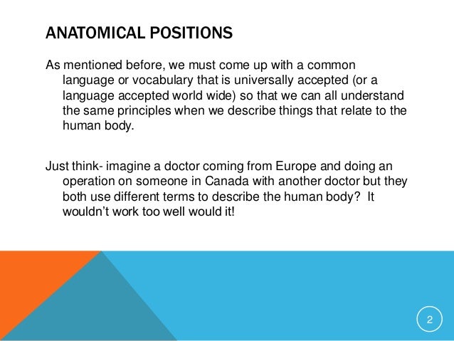 1 anatomical positions