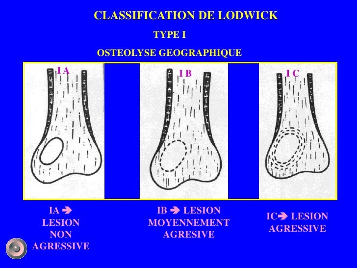 1 anatomie et semiologie rdiologique (version 2)