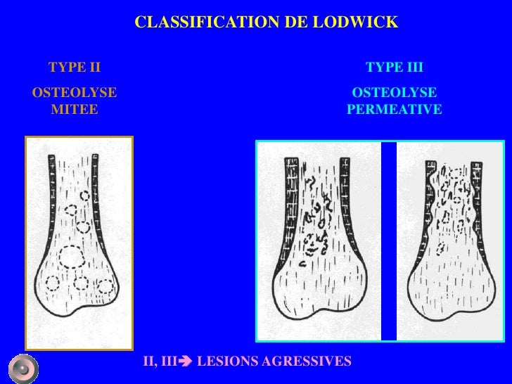1 anatomie et semiologie rdiologique (version 2)