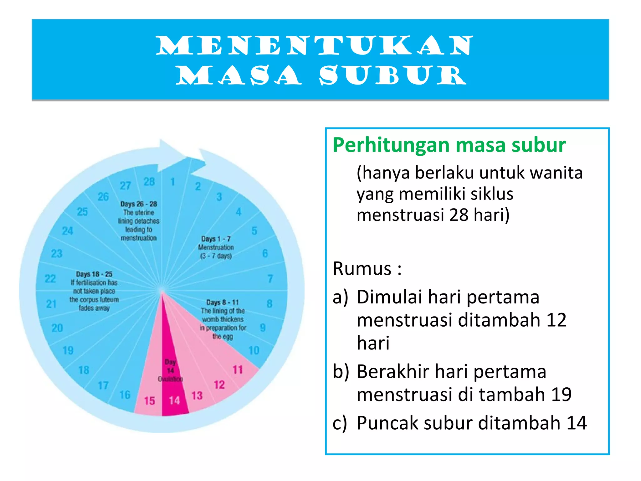 anatomi genitalia (internal dan eksternal) | PPT