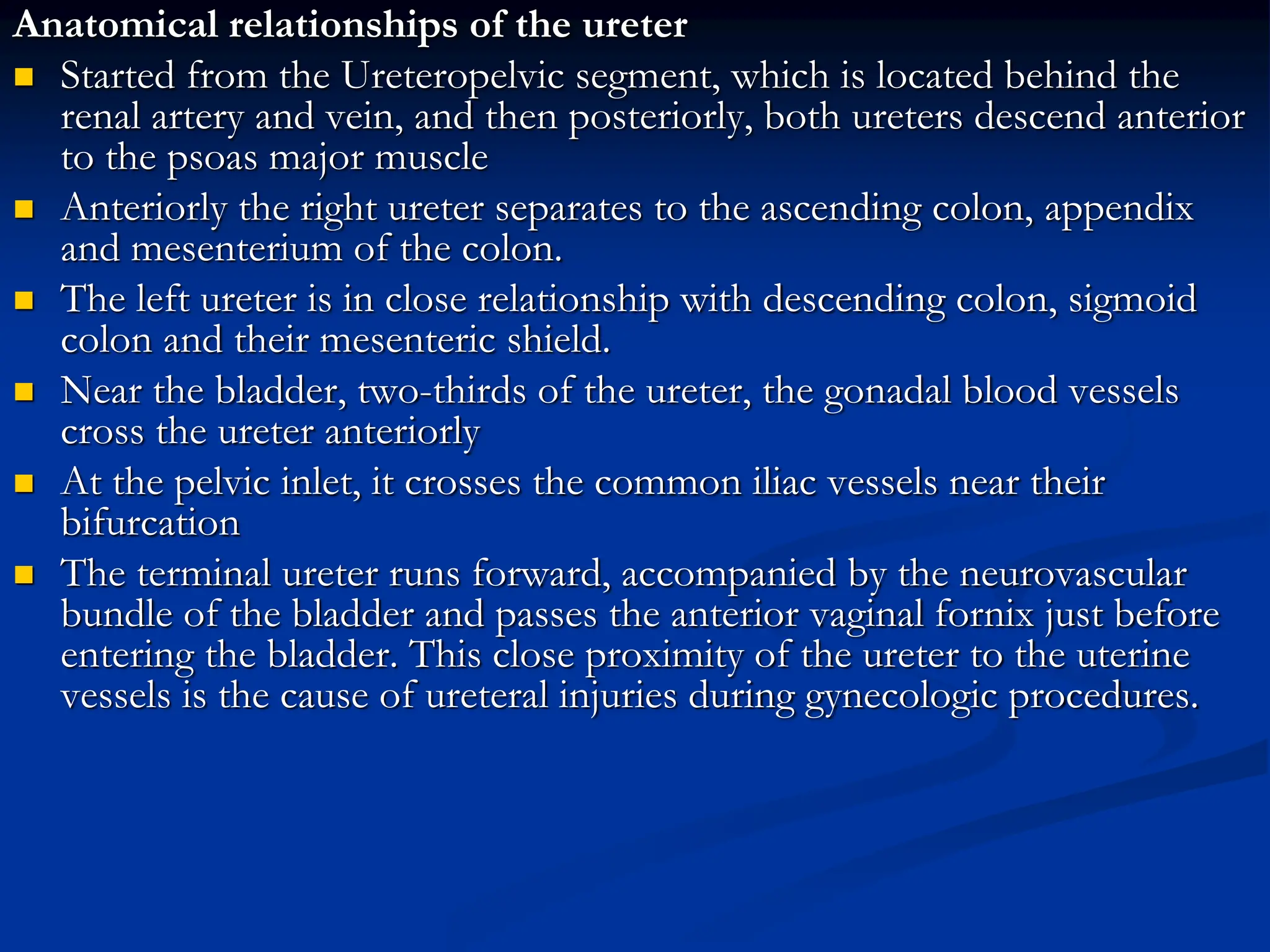 Urology - Anatomy part with Kidneys anatomy | PPT