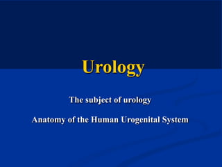 1anatomy.pdf, male Urinary tract, Anatomy | PPT