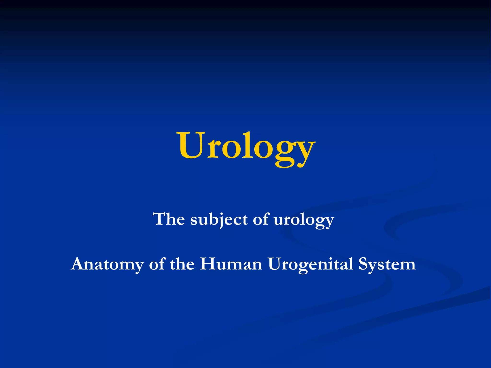 anatomy of urology.pptx