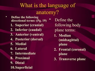 1 Anatomy and Physiology OF THE HUMAN BODY | PPTX