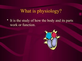 1 Anatomy and Physiology OF THE HUMAN BODY | PPTX
