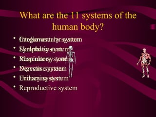 1 Anatomy and Physiology OF THE HUMAN BODY | PPTX