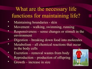 1 Anatomy and Physiology OF THE HUMAN BODY | PPTX