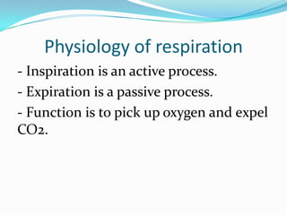 1-anatomy_and_physiology | PPT