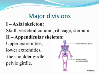 1-anatomy_and_physiology | PPT