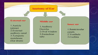 1_Anatomy_and_physiology_of_Ear_amcb.pptx