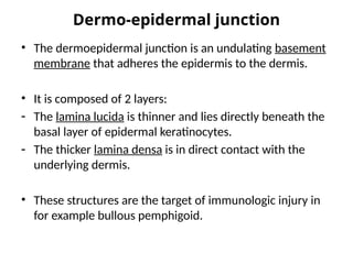 1 Anatomy and Physiology of skin and Appendages.pptx