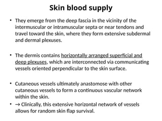 1 Anatomy and Physiology of skin and Appendages.pptx