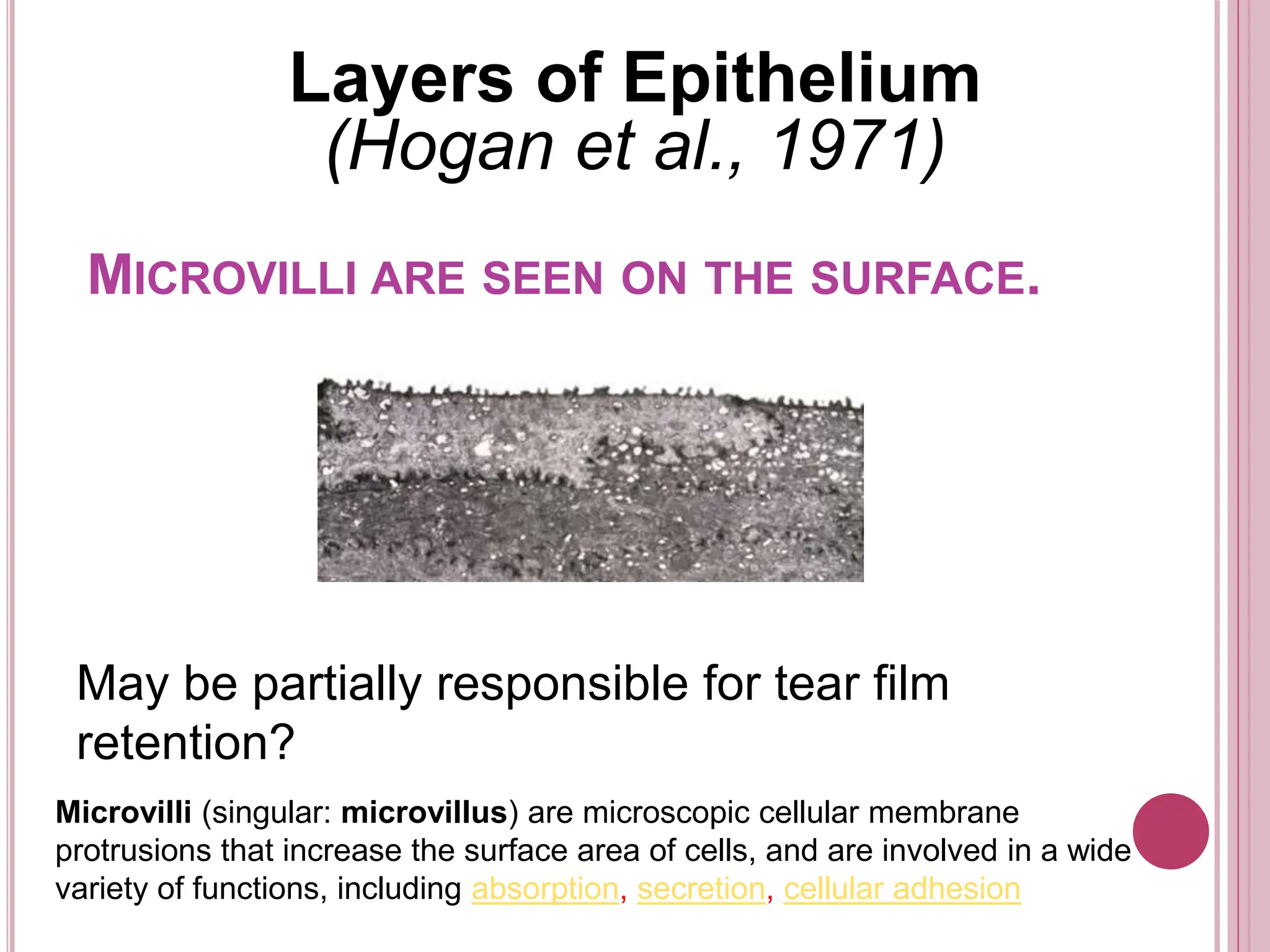 1 Anatomy(Ant.segment-1) .pptx