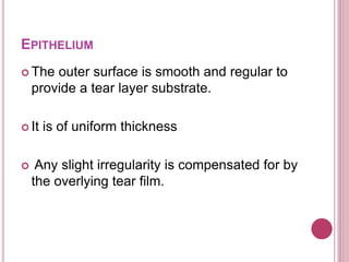 1 Anatomy(Ant.segment-1) .pptx