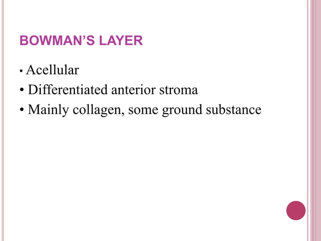 1 Anatomy(Ant.segment-1) .pptx