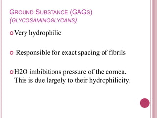 1 Anatomy(Ant.segment-1) .pptx
