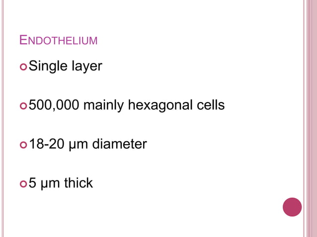 1 Anatomy(Ant.segment-1) .pptx