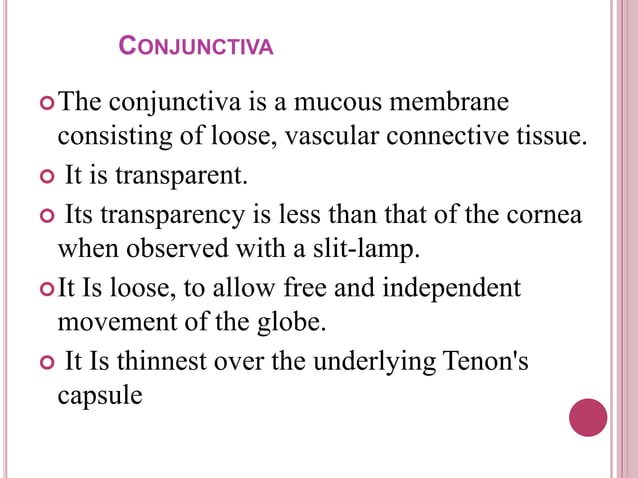 1 Anatomy(Ant.segment-1) .pptx
