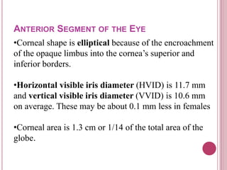1 Anatomy(Ant.segment-1) .pptx