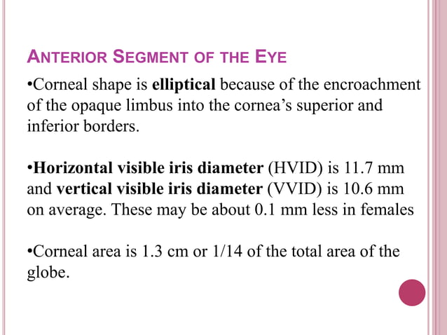 1 Anatomy(Ant.segment-1) .pptx