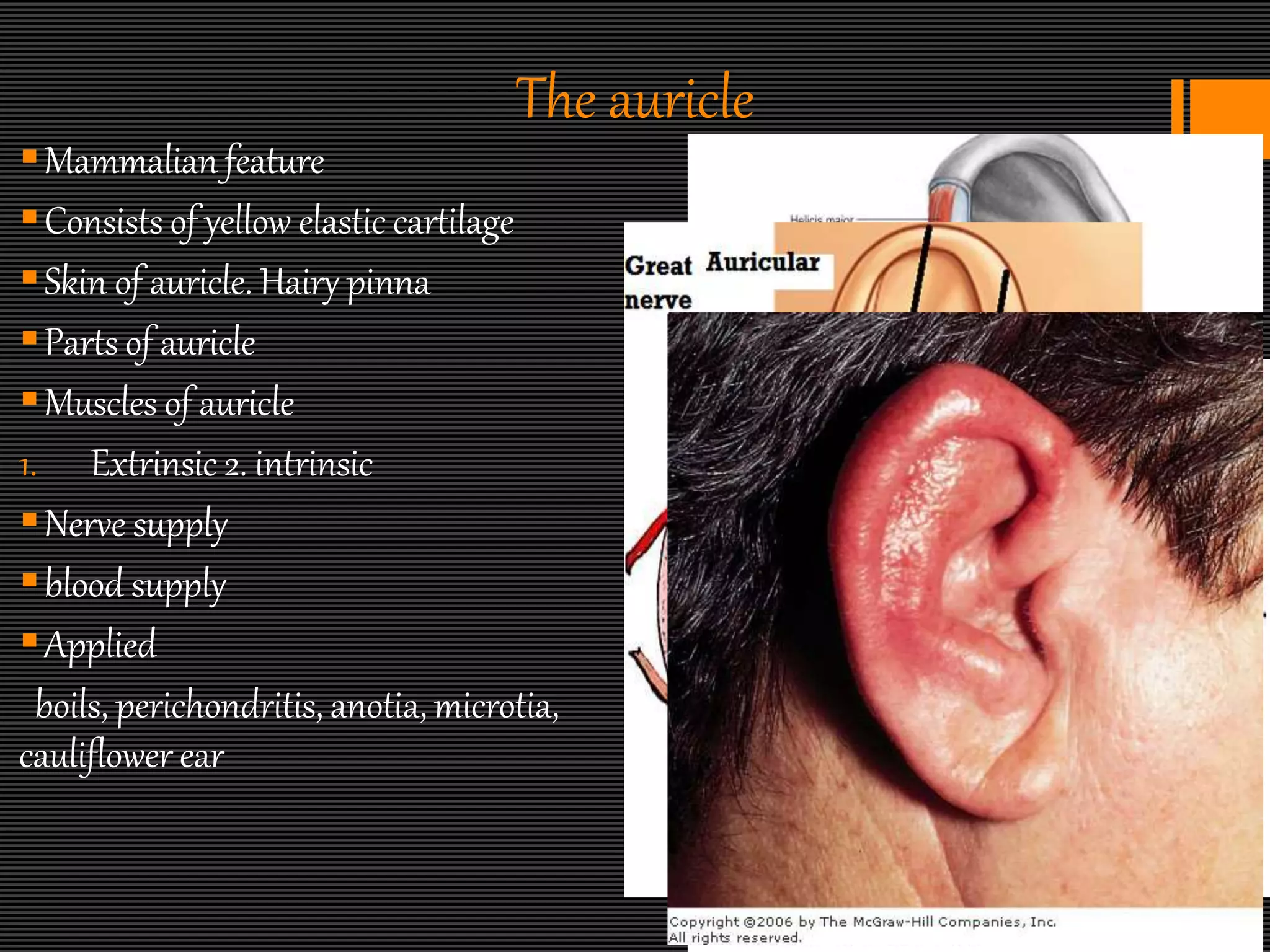 anatomy of ear | PPT