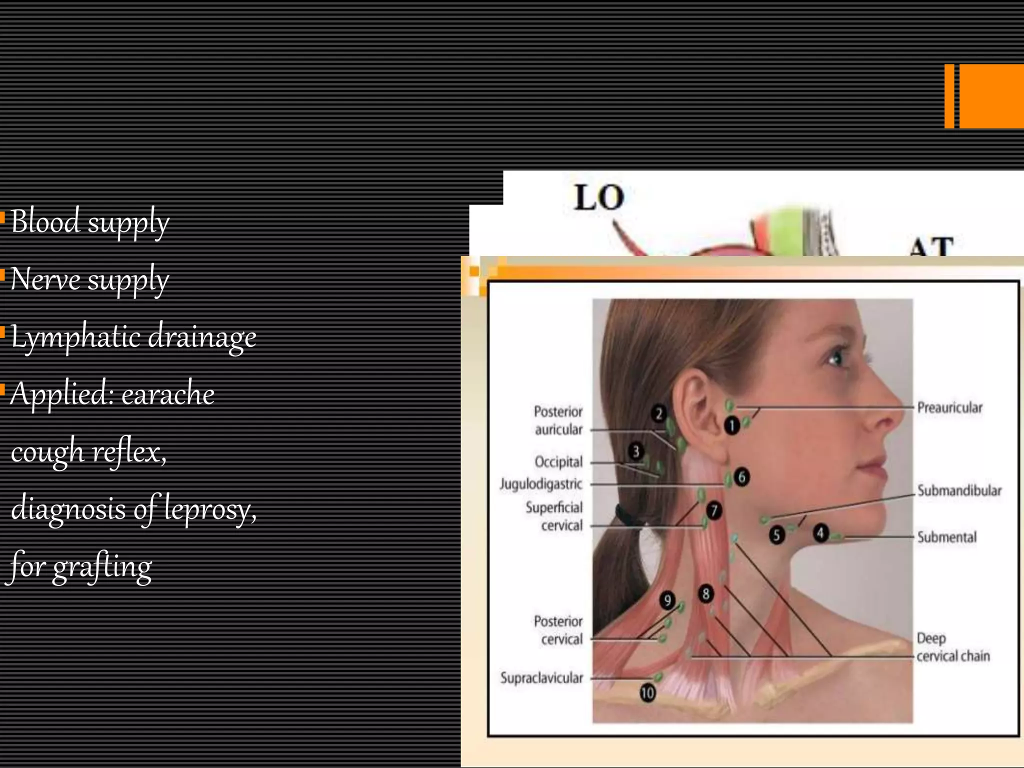 anatomy of ear | PPTX