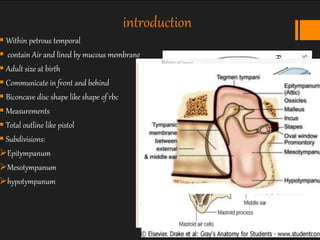 anatomy of ear | PPTX