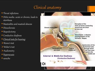 anatomy of ear | PPTX
