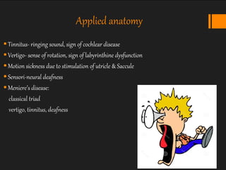 anatomy of ear | PPTX