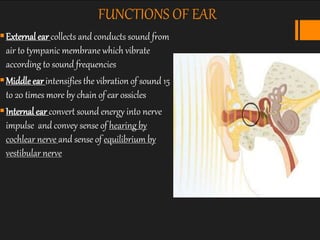anatomy of ear | PPTX
