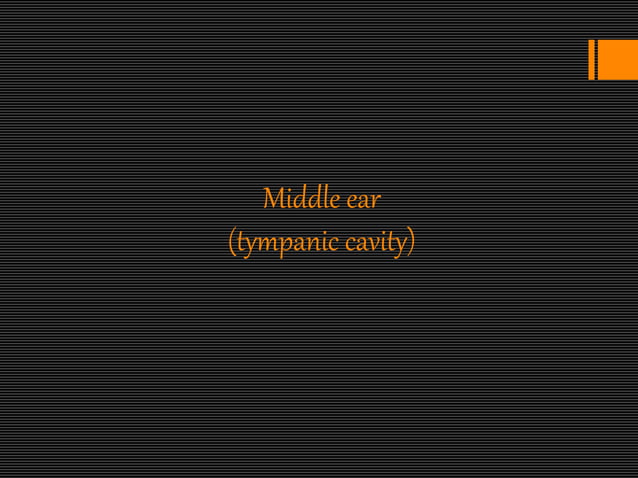 anatomy of ear | PPT