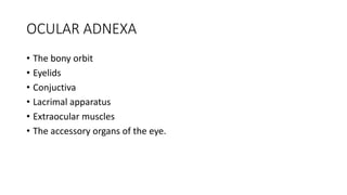 anatomy of eyeball | PPTX