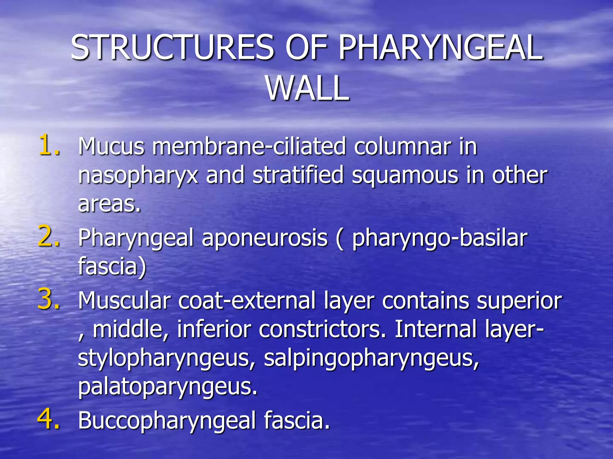 1 ANATOMY OF PHARYNX.pptx