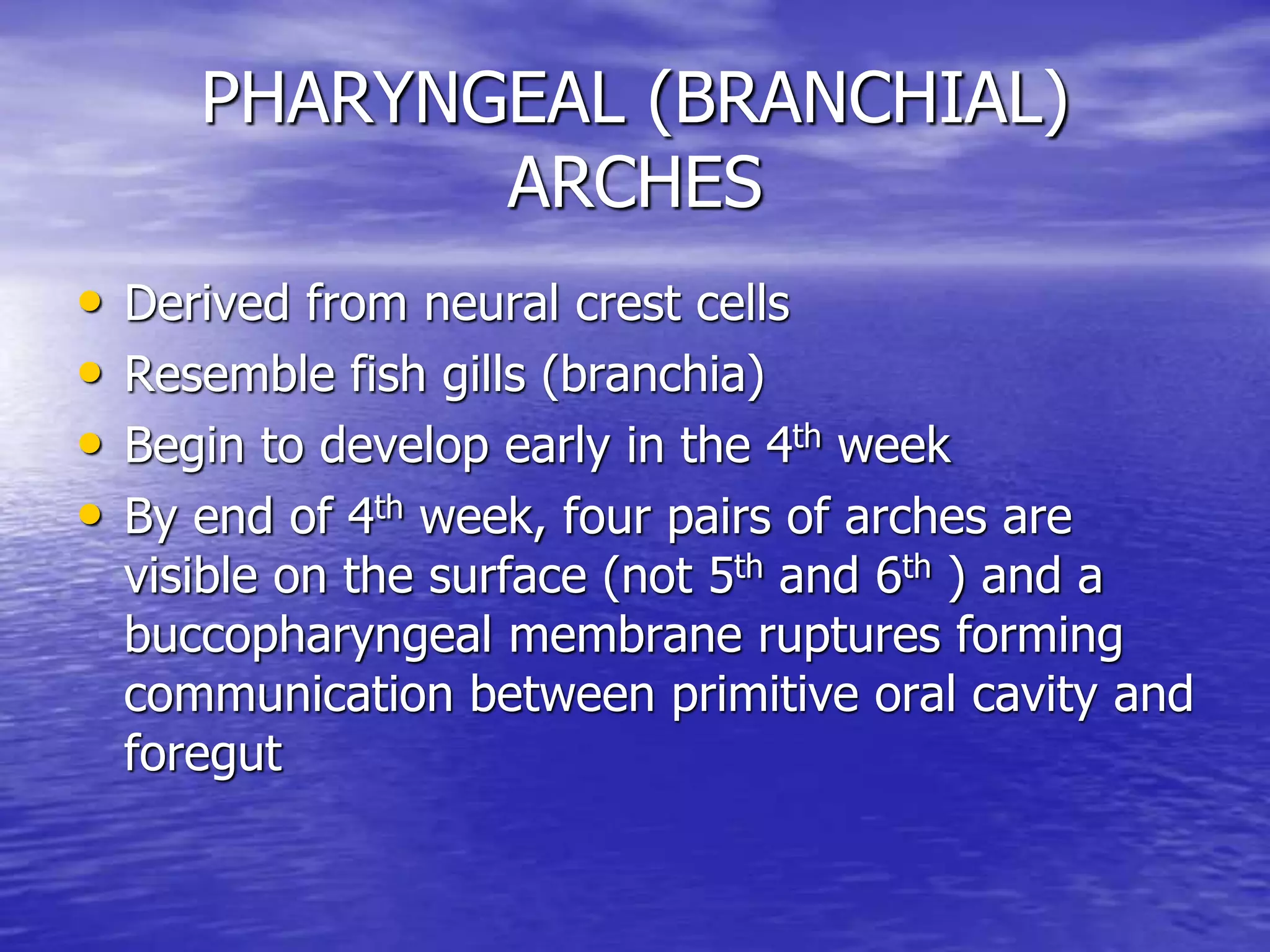 1 ANATOMY OF PHARYNX.pptx