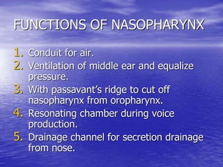 1 ANATOMY OF PHARYNX.pptx