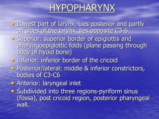 1 ANATOMY OF PHARYNX.pptx