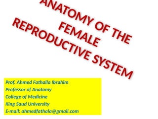 1) Anatomy of the Female Reproductive System.pptx
