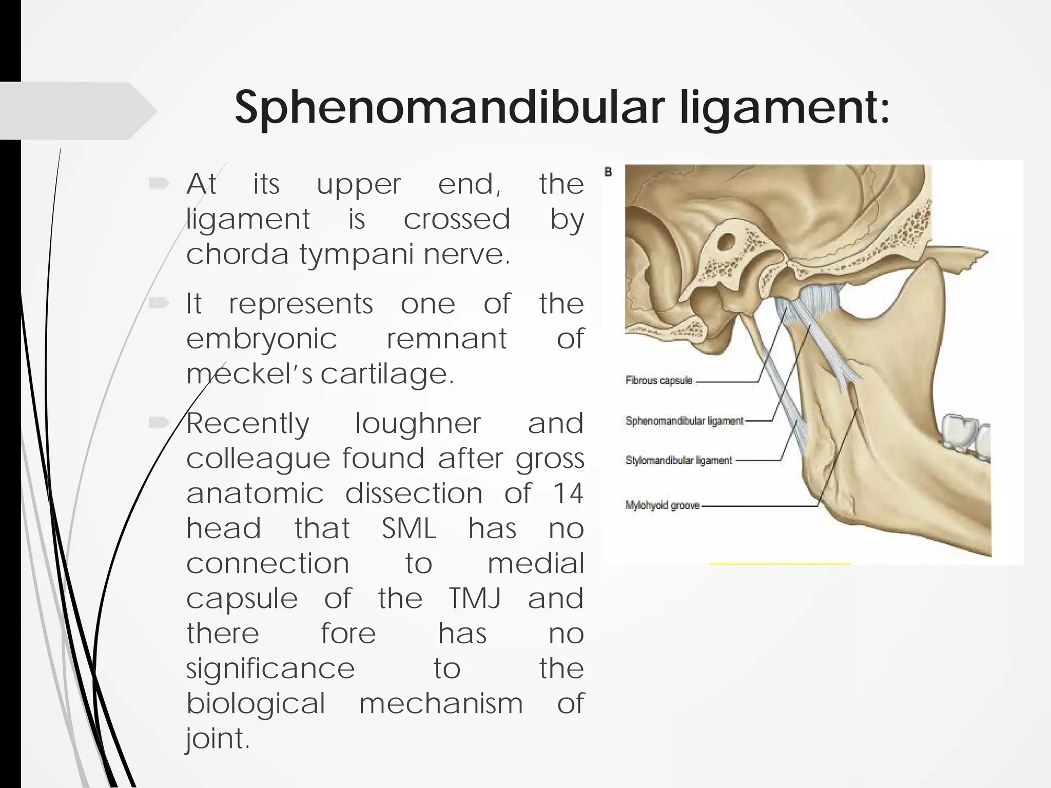 1 anatomy & physiology of tmj | PDF