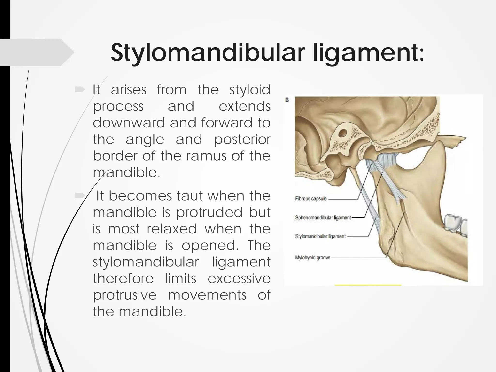 1 anatomy & physiology of tmj | PDF