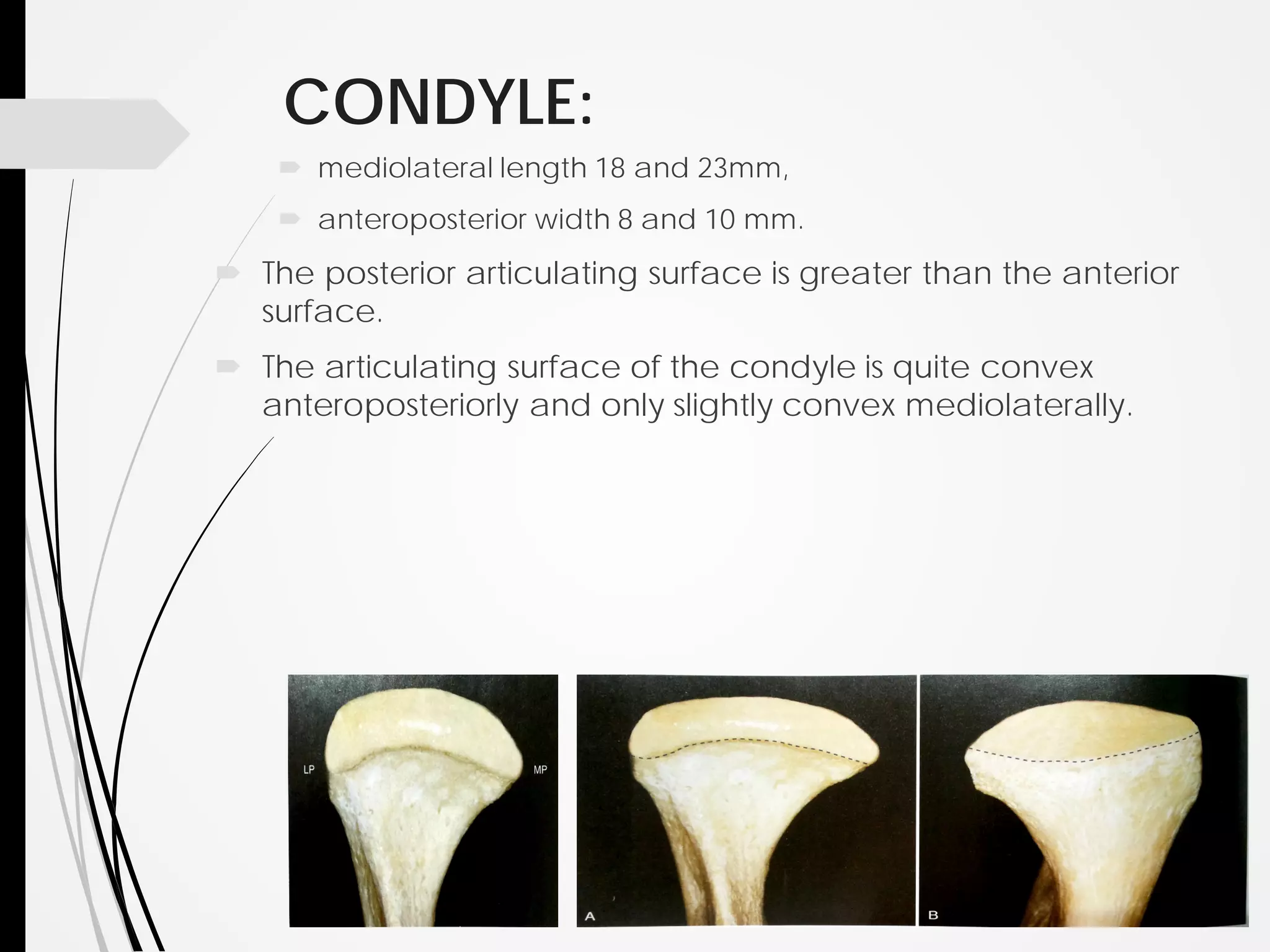 1 anatomy & physiology of tmj | PDF