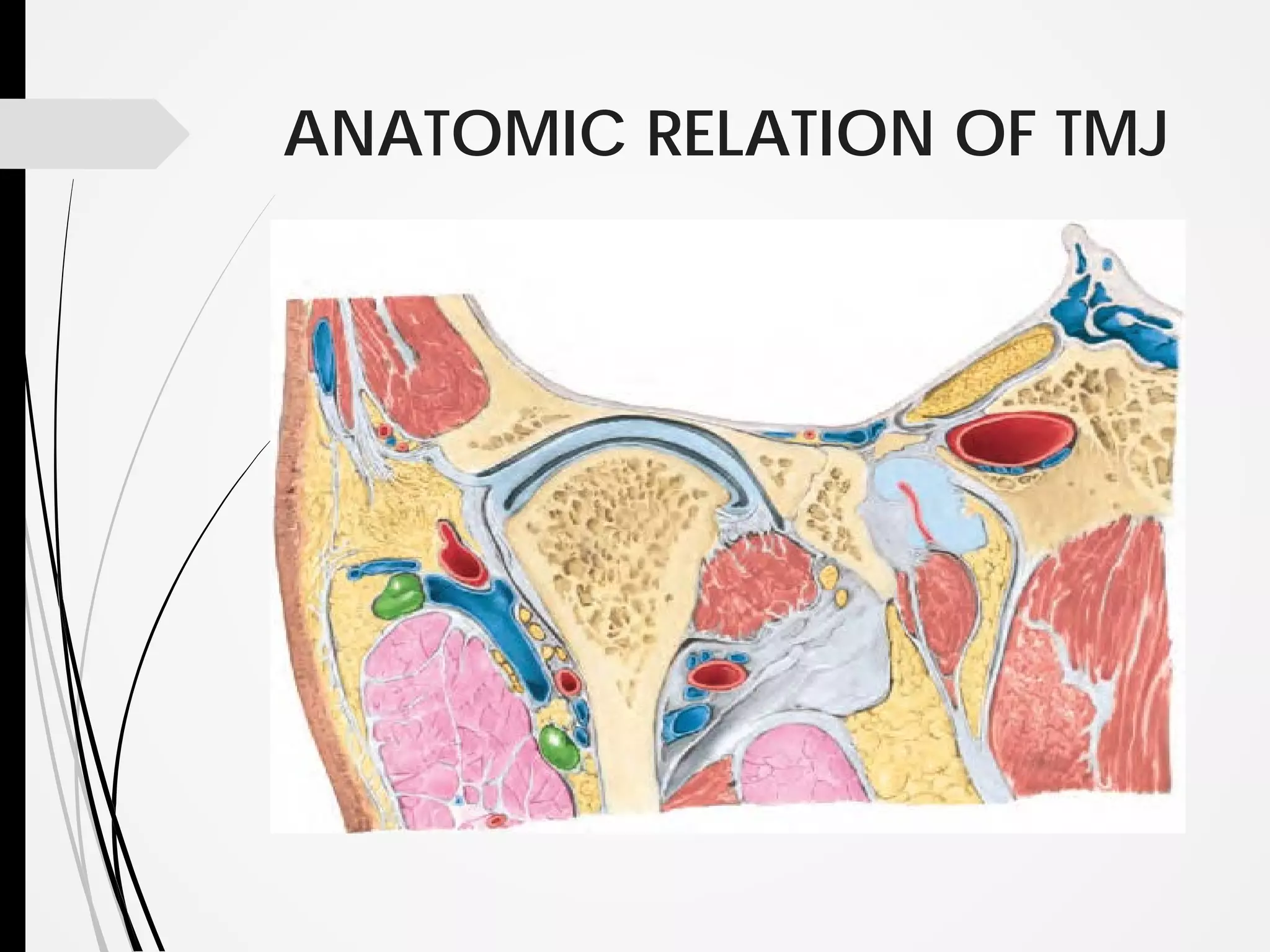 1 anatomy & physiology of tmj | PDF