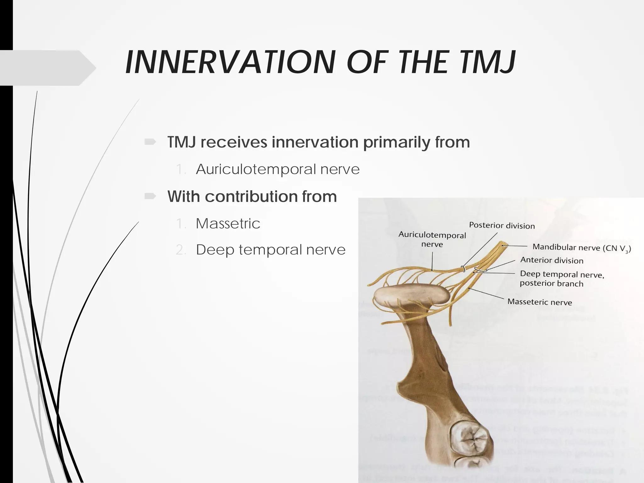 1 anatomy & physiology of tmj | PDF