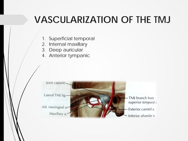 1 anatomy & physiology of tmj | PDF