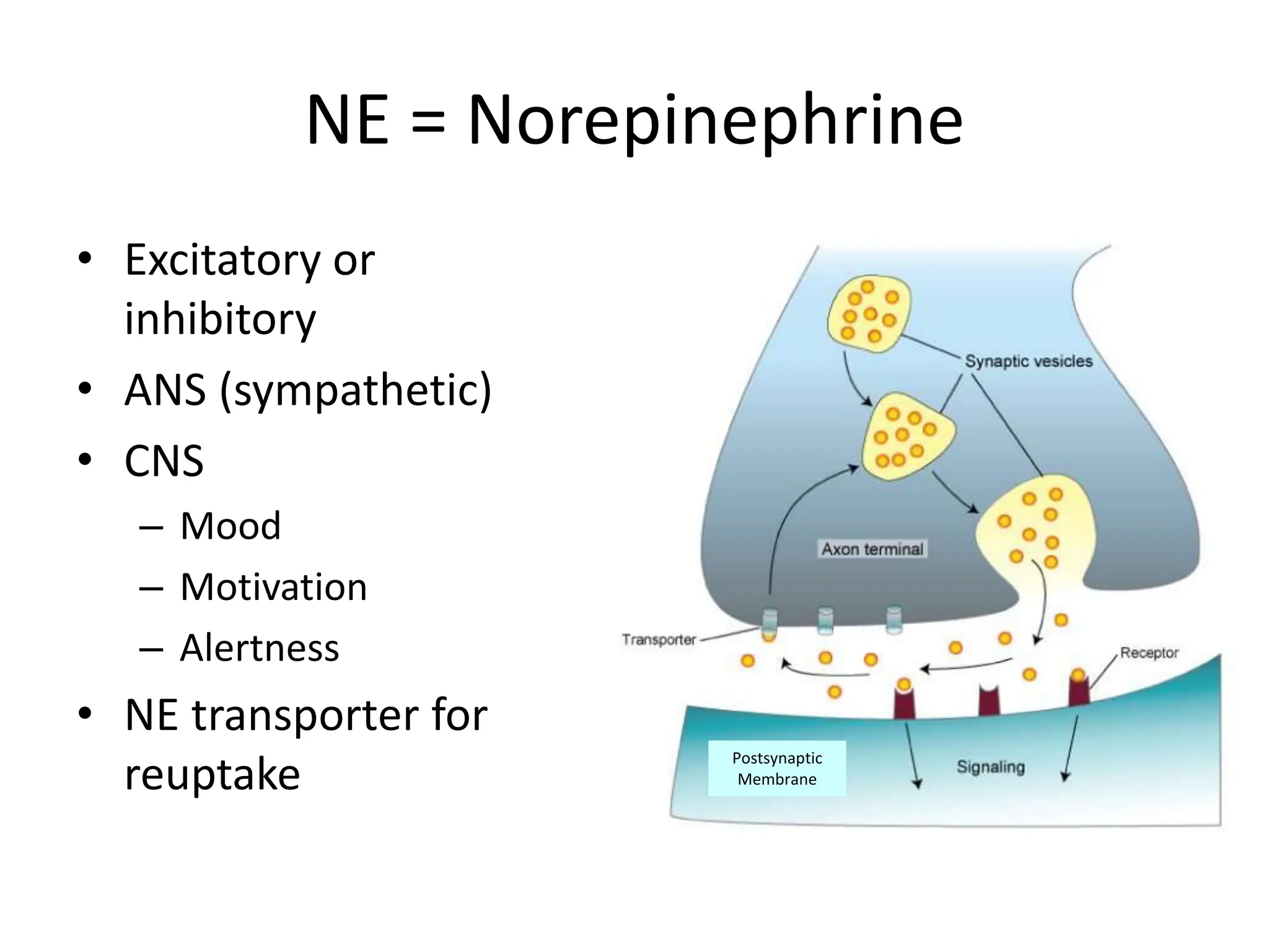 1 and 2 Neurophysiology-student (2).pptx