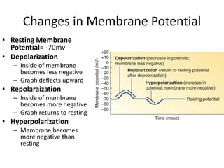 1 and 2 Neurophysiology-student (2).pptx | Chemistry | Science